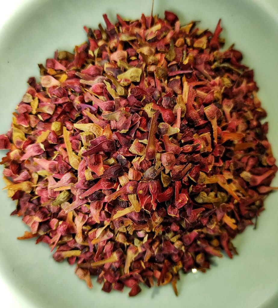 Semillas De Acer Palmatum Atropurpureum. Arce Palmado Púrpura – 寿BONSAI ...